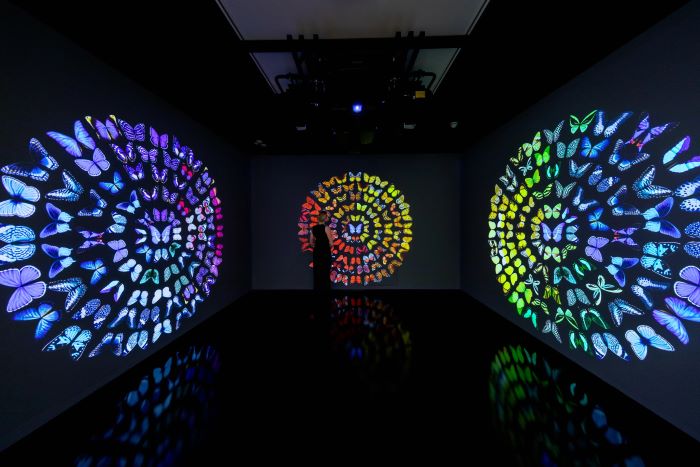 Dominic Harris' Immersive Art Projects Enhanced by Newnex FireNEXTM-80G
